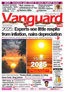 digitalpaper.vanguardngr.com