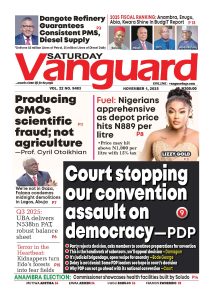 digitalpaper.vanguardngr.com